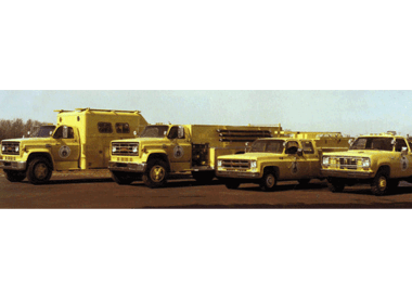 Timeline - One Century Strong